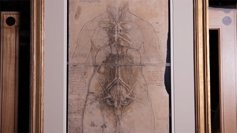 Why Did Leonardo Da Vinci Study Anatomy Wayne Arthur Gallery Why Did Leonardo Da Vinci Study Anatomy Wayne Arthur Gallery